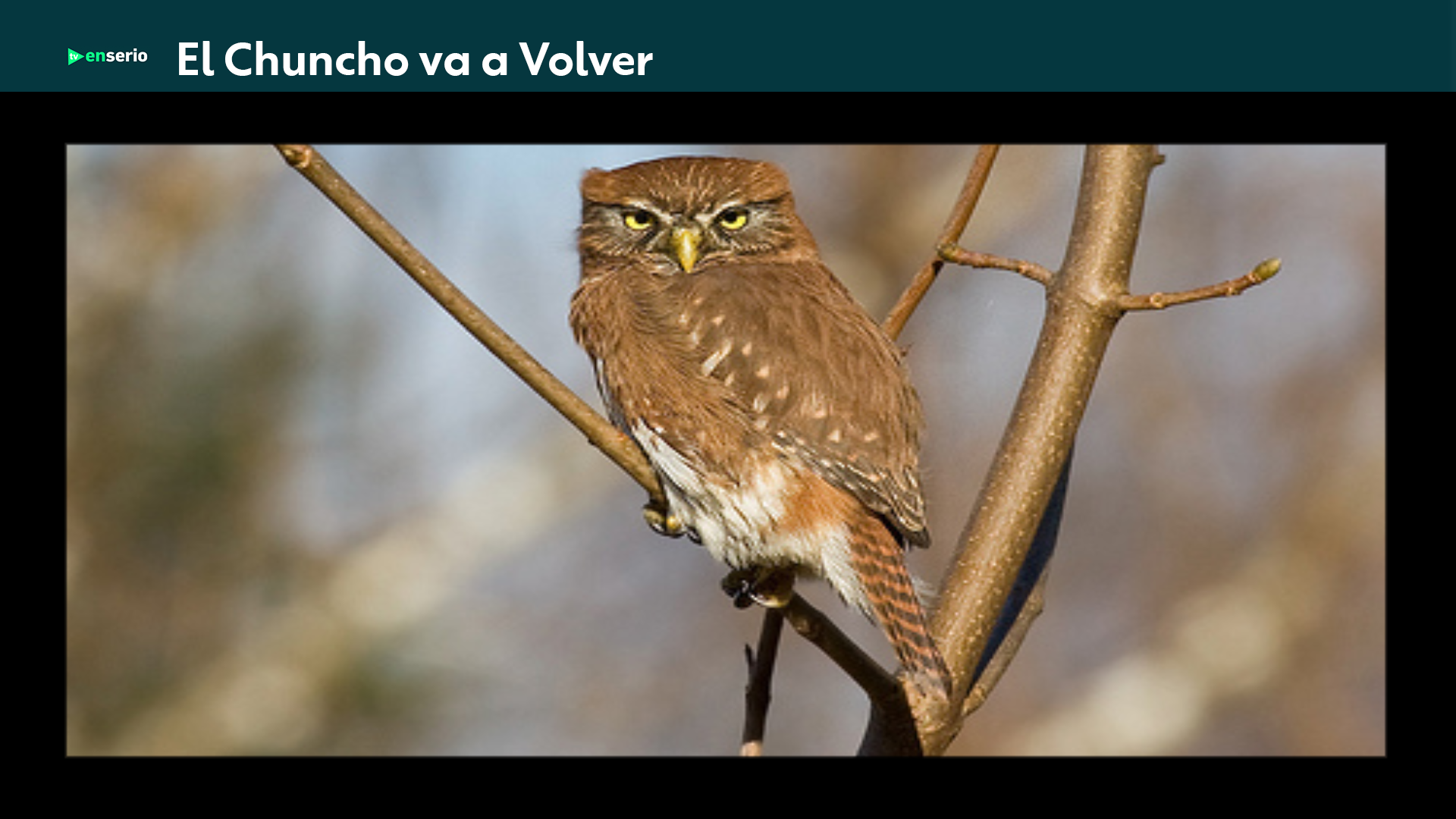 El Chuncho va a Volver | TVenserio